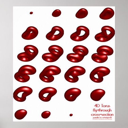 4d torus fly-through cross-section poster | Zazzle.com