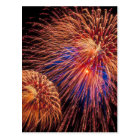 July 4th Firecracker - GoldenDoodle Postcard | Zazzle.com
