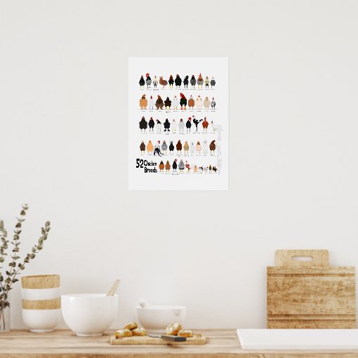 52 breeds of chickens poster | Zazzle