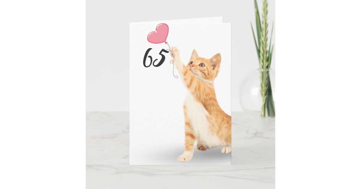 65th birthday tabby cat card | Zazzle
