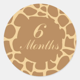 6 Months Stickers | Zazzle