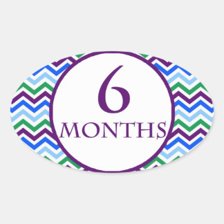 6 Months Stickers | Zazzle
