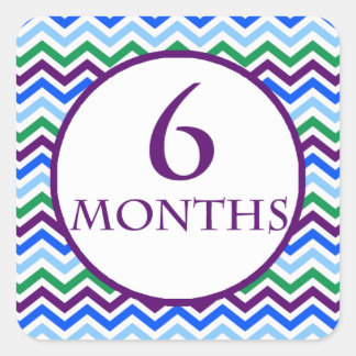 6 Months Stickers | Zazzle