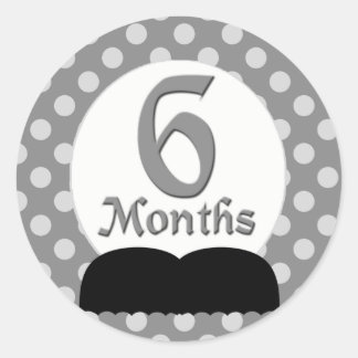 116+ Six Month Baby Stickers and Six Month Baby Sticker Designs | Zazzle