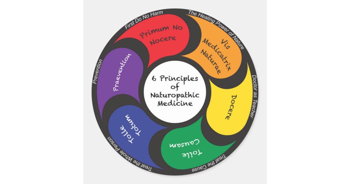 6 Principles of Naturopathic Medicine Sticker | Zazzle