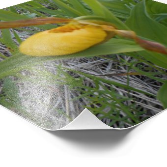 6x6 Photo Print | Zazzle