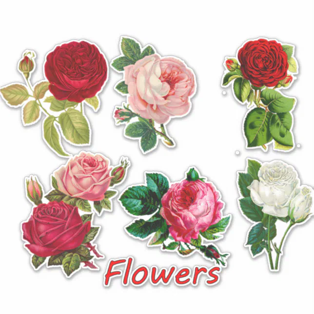 7 Beautiful Roses for Scrapbooking Sticker | Zazzle