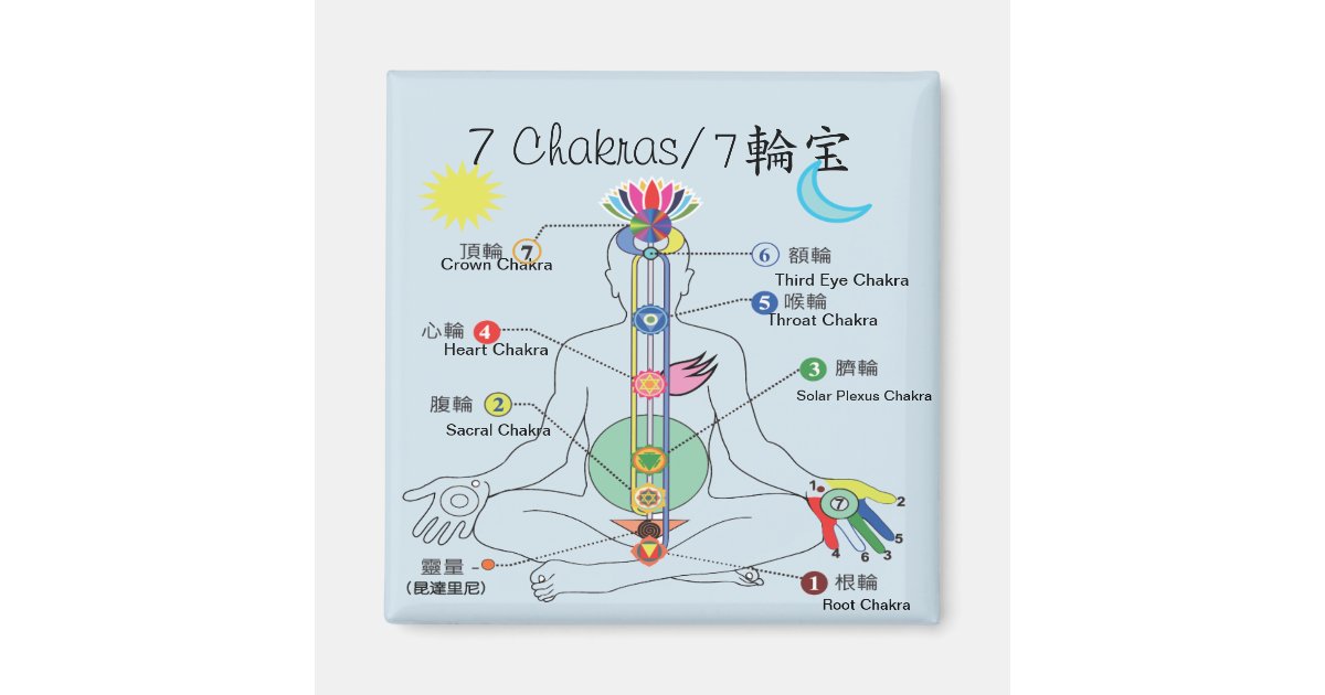 7 Chakra Magnet | Zazzle