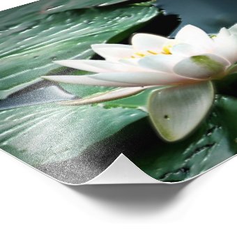 7x5 photo print | Zazzle