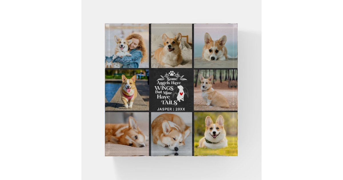 8 Photo Collage Pet Memorial Remembrance Paperweight | Zazzle