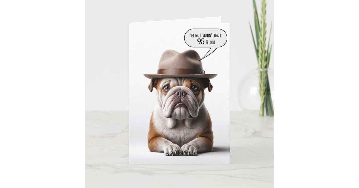95th Birthday Bulldog With Fedora Card | Zazzle