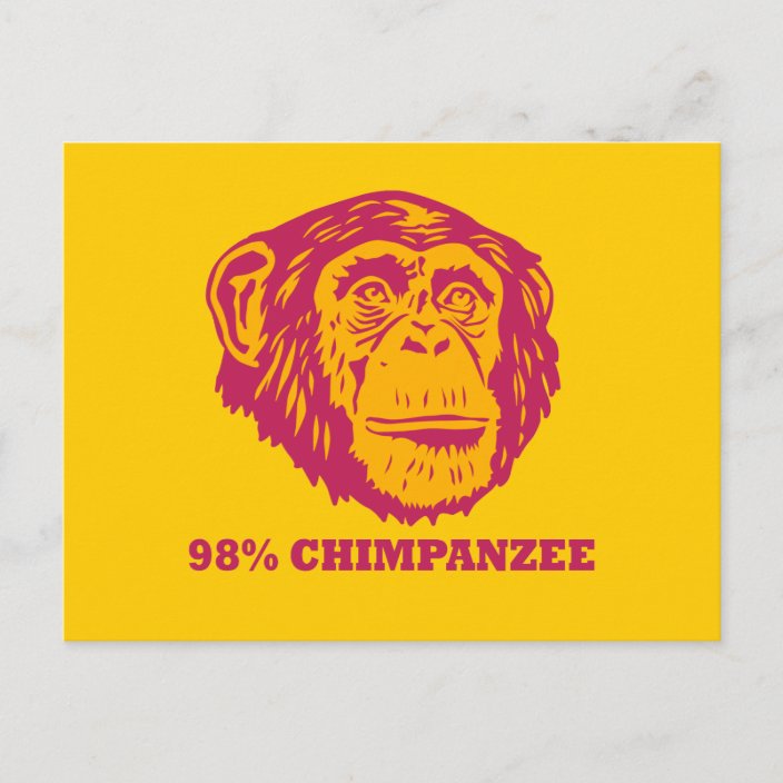 98% Chimpanzee Postcard | Zazzle.com