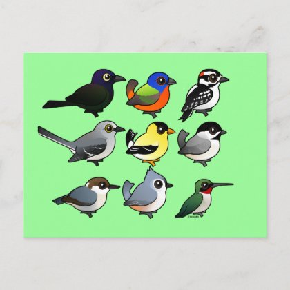 Tufted Titmouse Gift Labels