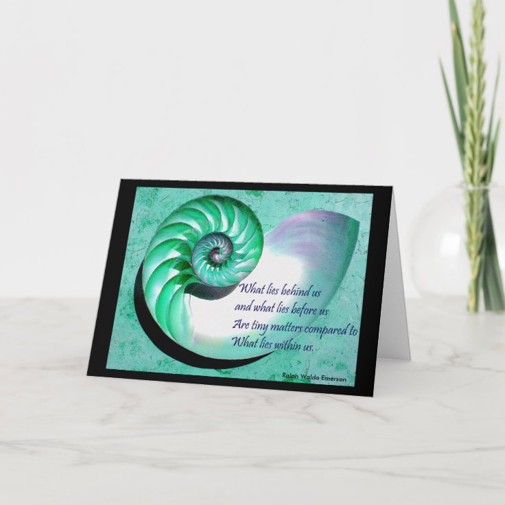 A04 Nautilus Shell Inspirational Quote Card 1 | Zazzle