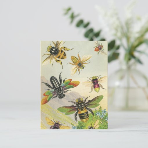 A Bevy of Beautiful Bees Postcards | Zazzle
