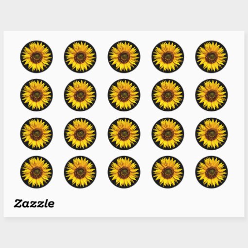 A Big Yellow Sunflower Classic Round Sticker | Zazzle