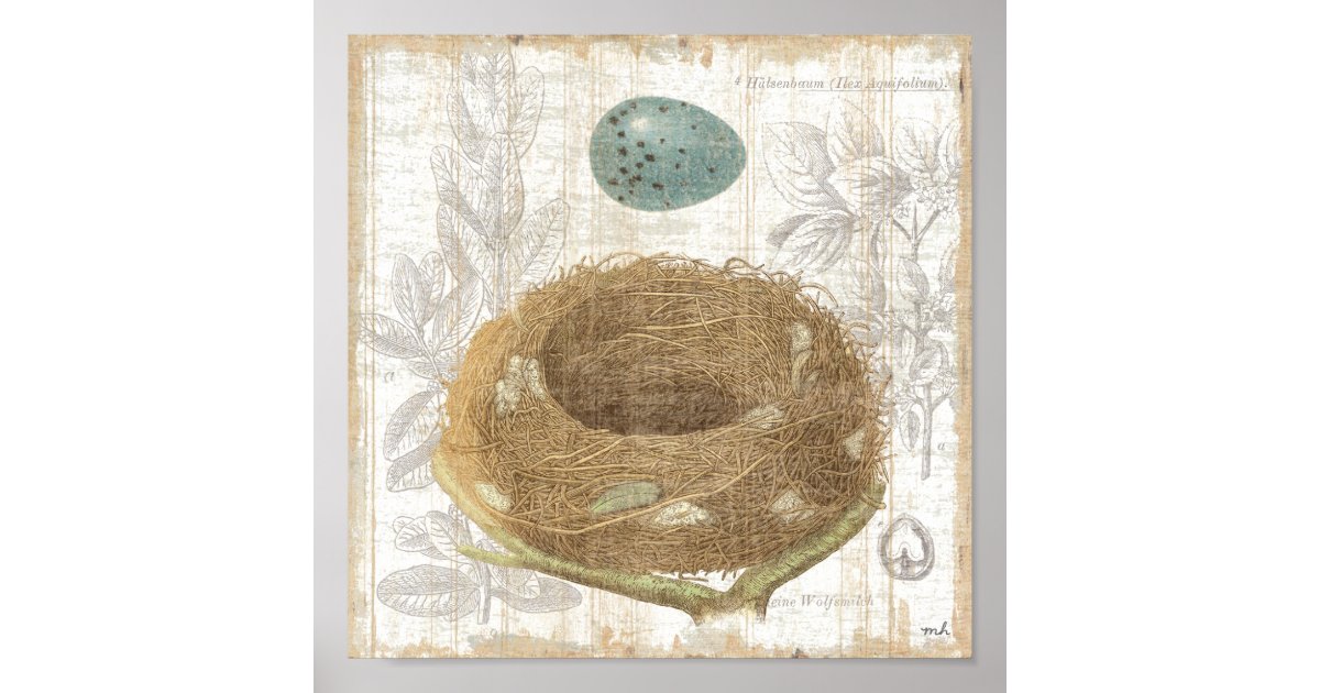 A Bird's Nest with a Decorative Egg Poster | Zazzle
