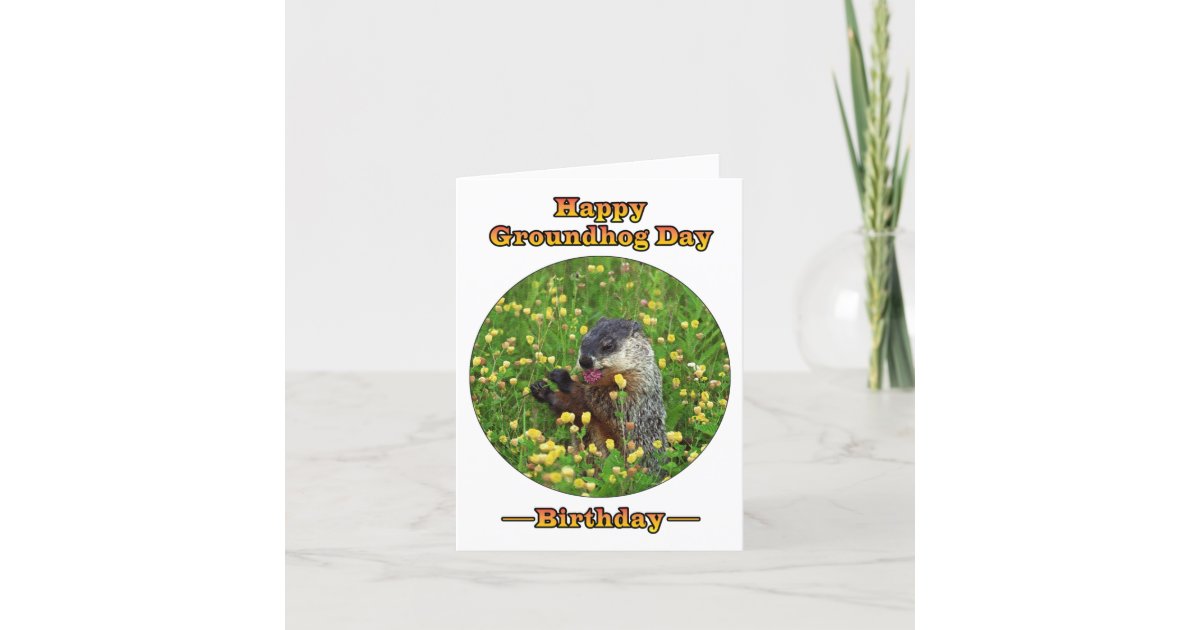 A Birthday on Groundhog Day! Card | Zazzle.com