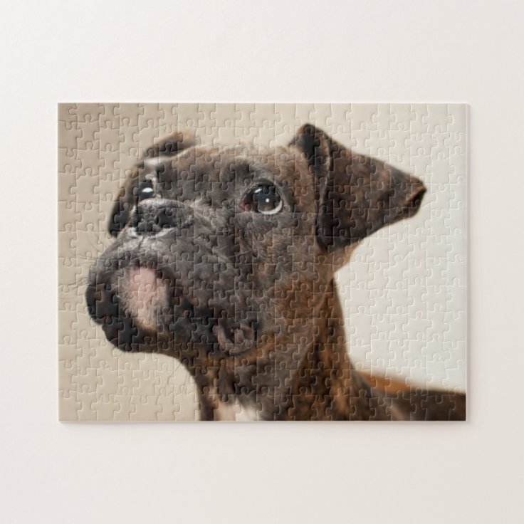 A Brindle Boxer puppy looking up curiously. Jigsaw Puzzle | Zazzle