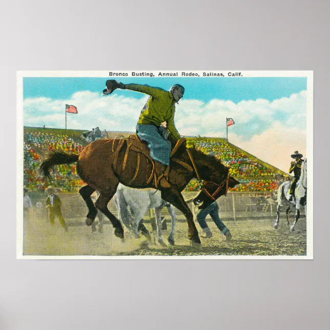 A Bucking Bronco at the Annual Salinas Rodeo Poster | Zazzle