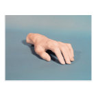 A cast of the hand of Frederic Chopin Poster | Zazzle.com