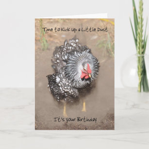 Funny Chicken Birthday Cards | Zazzle