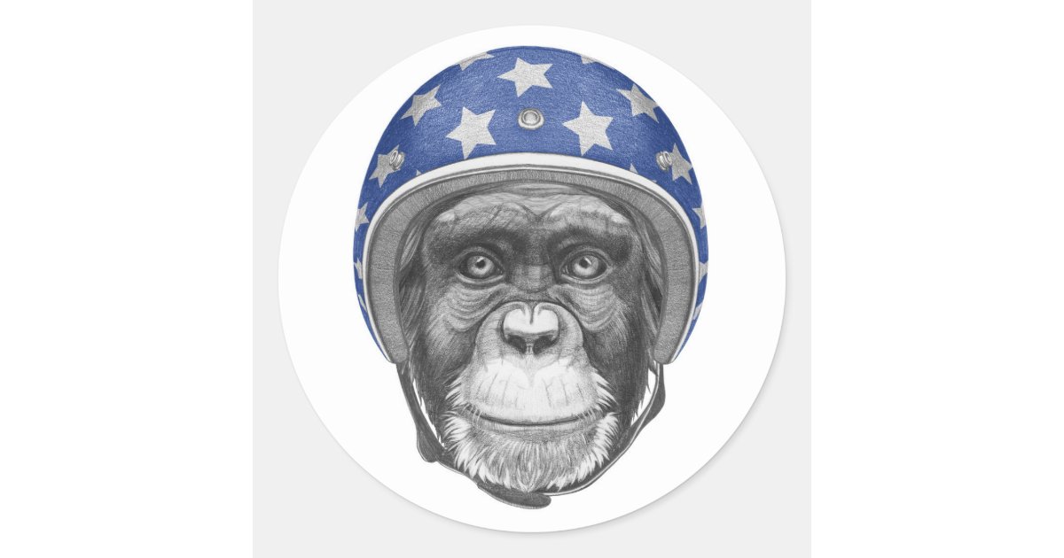 A Chimpanzee Motorcycle Rider Classic Round Sticker | Zazzle