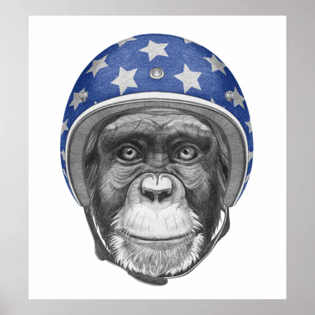 A Chimpanzee Motorcycle Rider Poster | Zazzle
