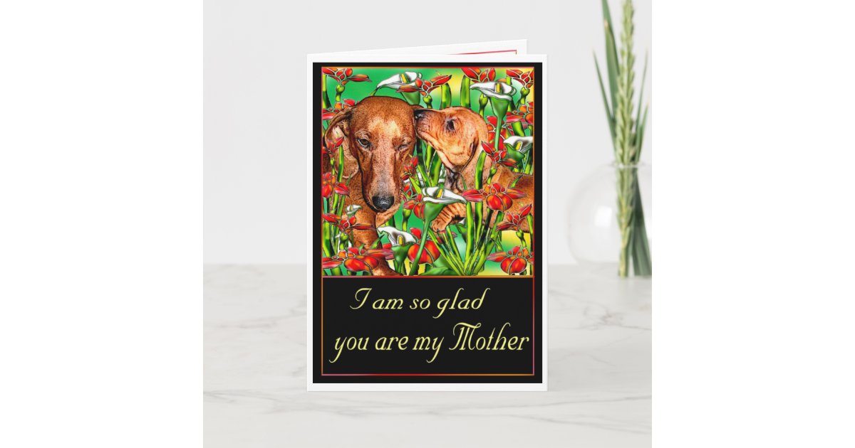 A Dachshund Mother's Day Card | Zazzle