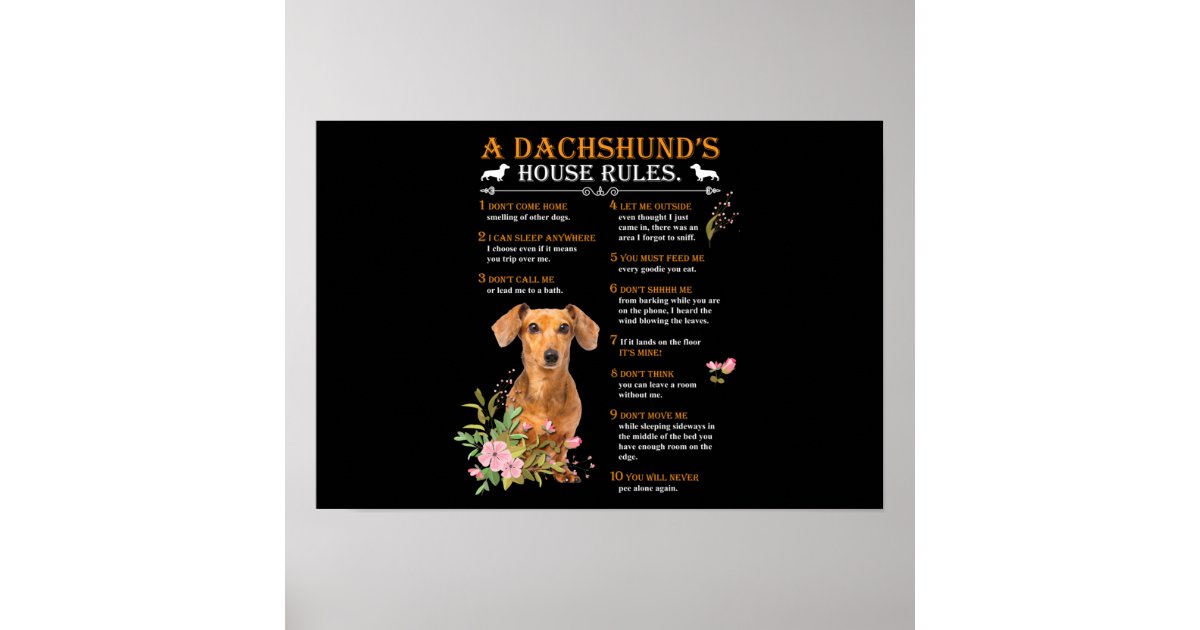 A Dachshund's House Rules Poster | Zazzle