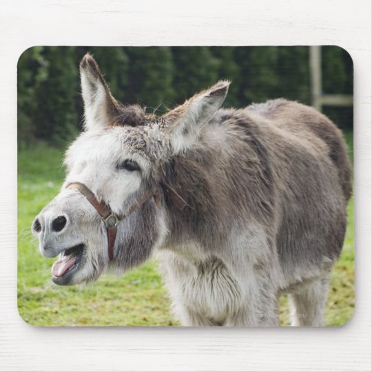 A donkey mouse pad | Zazzle.com