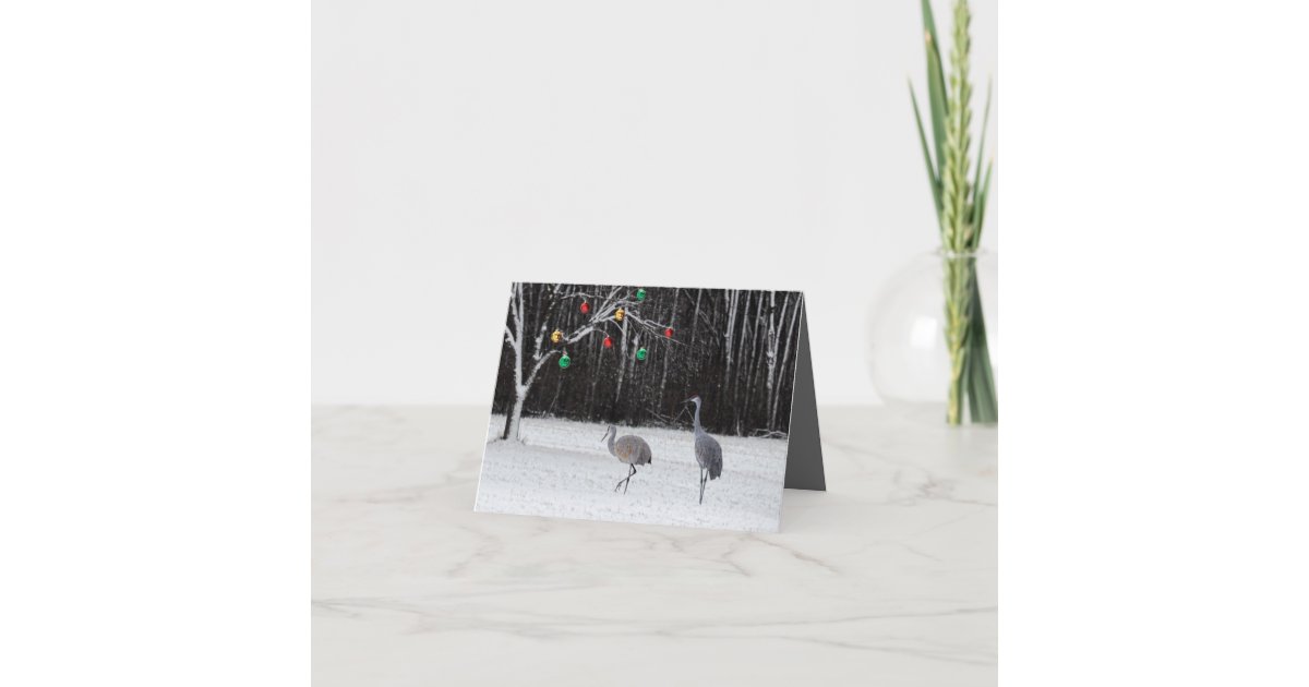 A festive Christmas card featuring Sandhill Cranes | Zazzle