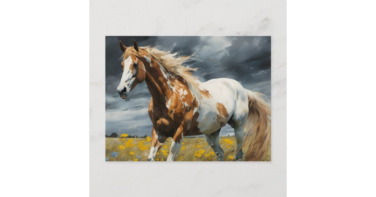 A Gorgeous Pinto Horse Postcard | Zazzle