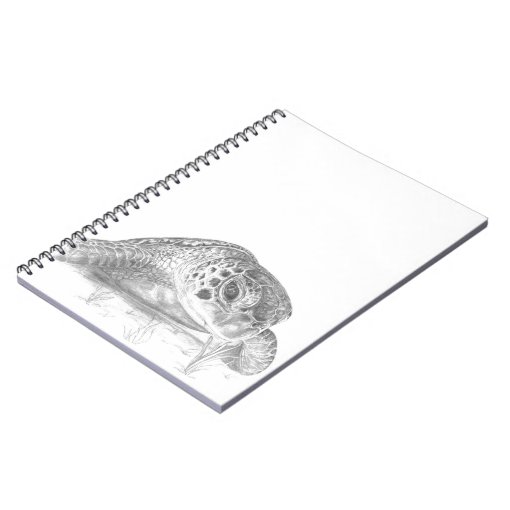 A Green Sea Turtle in Grayscale Notebook | Zazzle