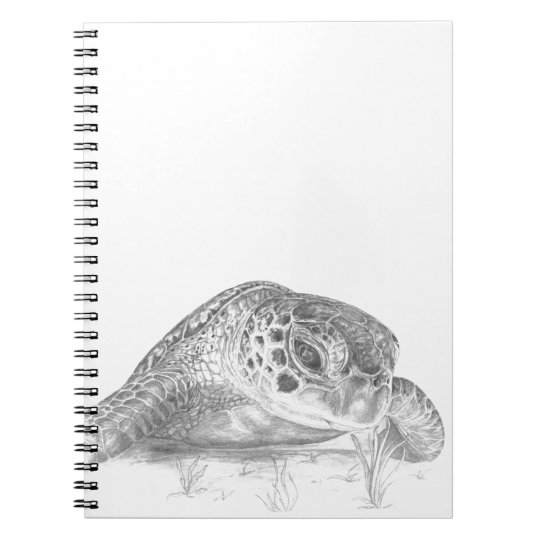 A Green Sea Turtle in Grayscale Notebook | Zazzle.com
