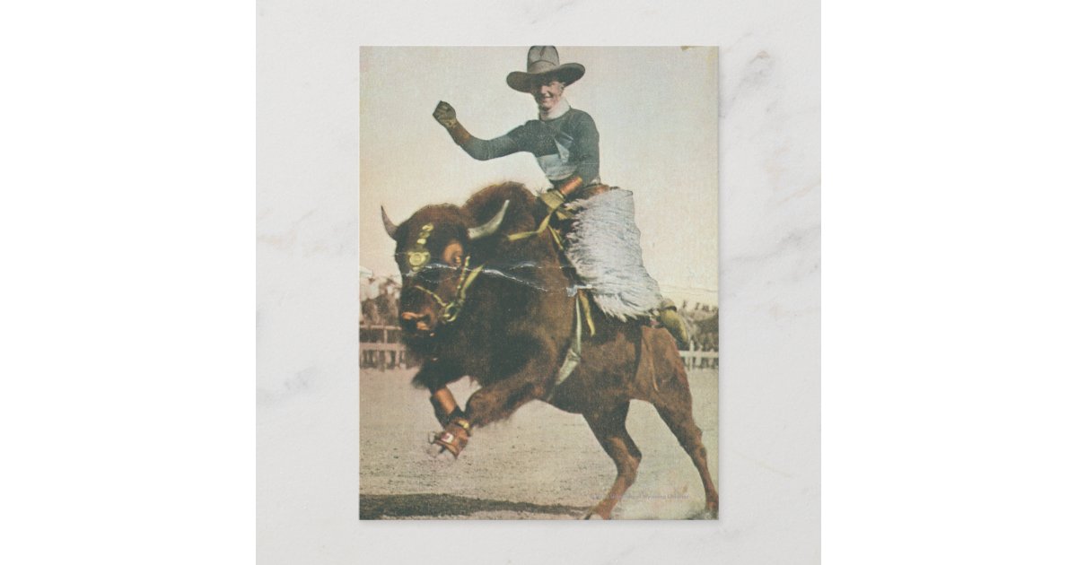 A Happy Cowboy on a Bucking Buffalo. Postcard | Zazzle