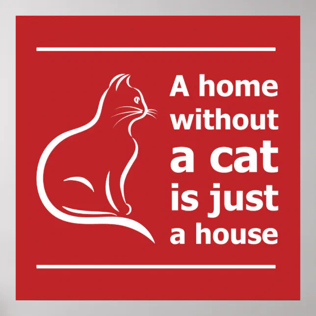 A home without a cat is just a house pet animals poster | Zazzle