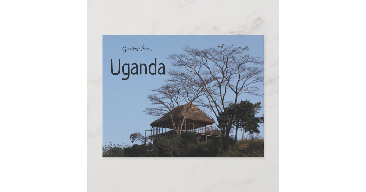 A Hut in Uganda Postcard | Zazzle