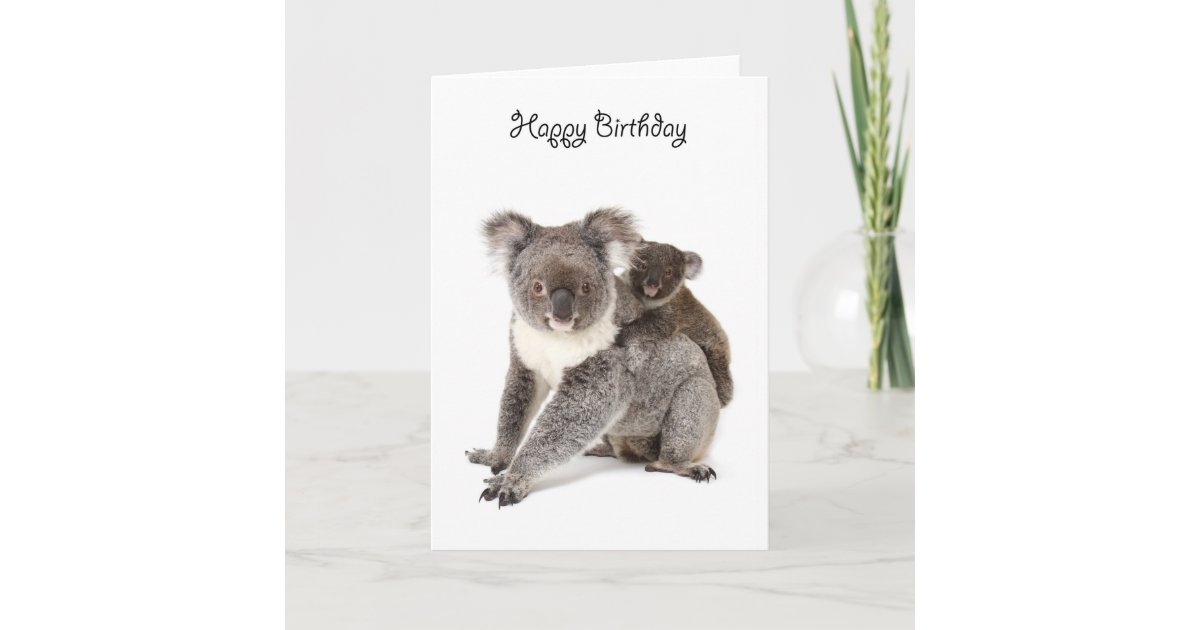 A koala happy birthday card | Zazzle