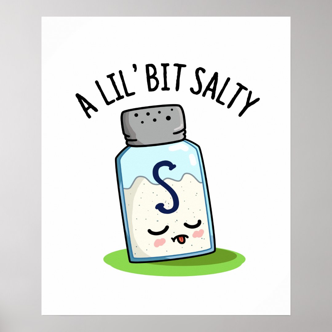 A Lil Bit Salty Funny Salt Shaker Pun Poster | Zazzle