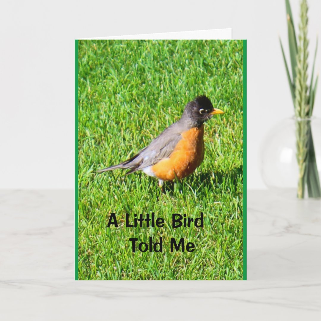 A Little Bird Told Me It's Your Birthday! Card | Zazzle