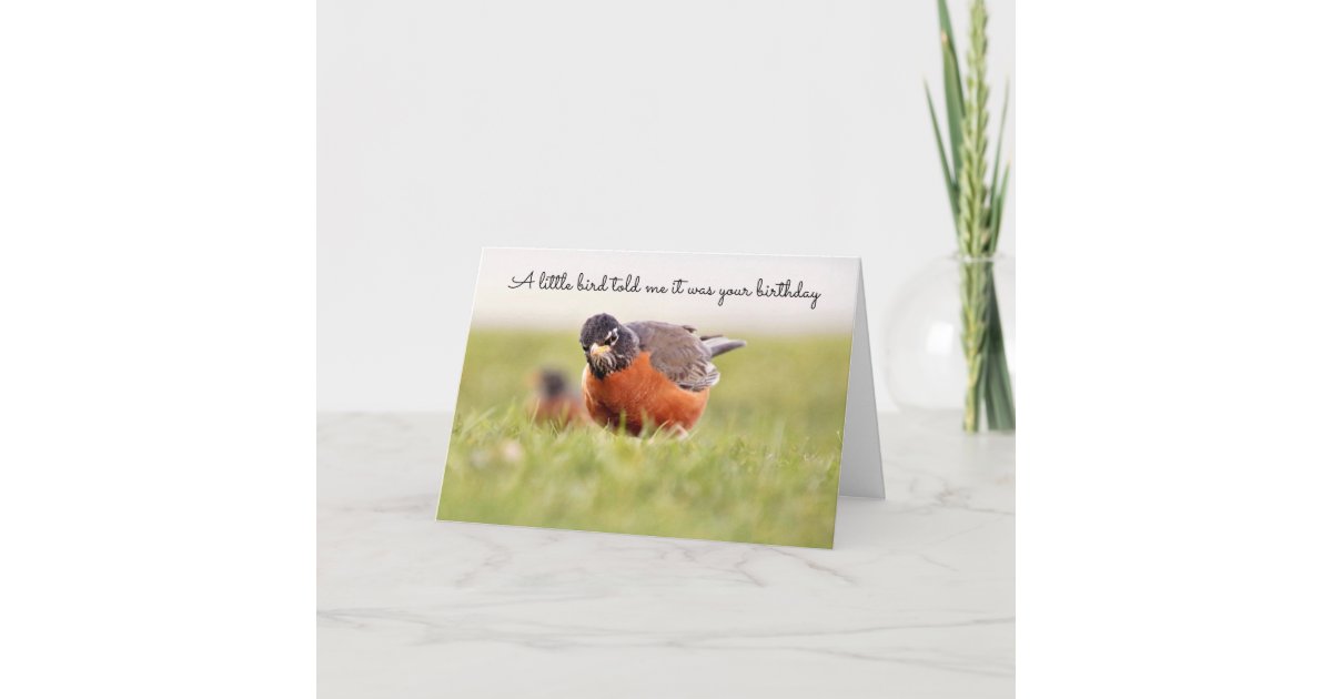A Little Birdie Told Me Birthday Card | Zazzle