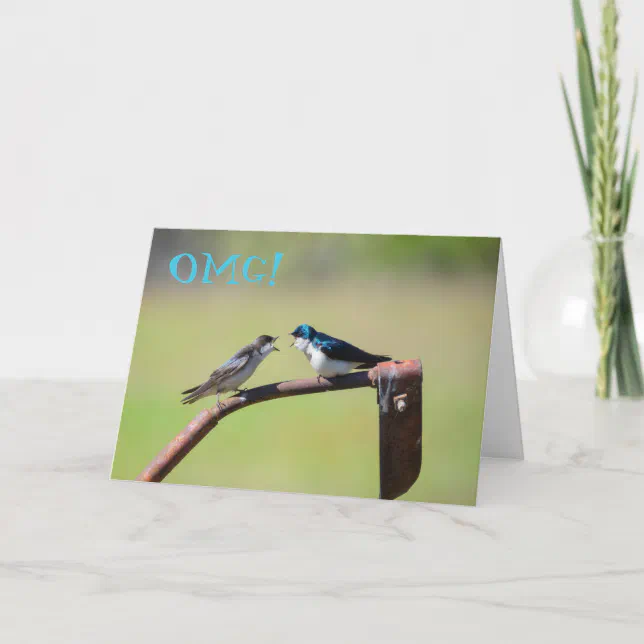 A little birdie told me - customizable card. card | Zazzle