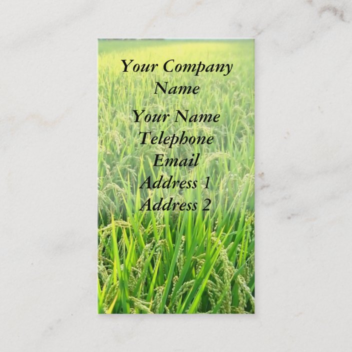 A Lush Green Rice Field with Ripe Ears of Rice Business Card | Zazzle.com