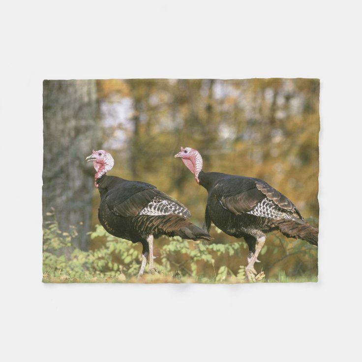 A male Female Turkey Pair Photograph in Fall Fleece Blanket | Zazzle