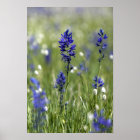 Wildflowers art Wild flowers poster wall nursery | Zazzle.com