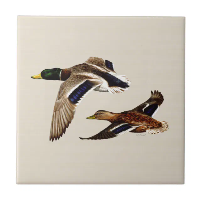 A Pair of Mallard Ducks Ceramic Tile | Zazzle