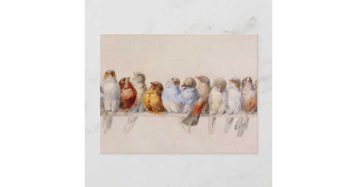 A Perch of Birds Hector Giacomelli 1880 Postcard | Zazzle