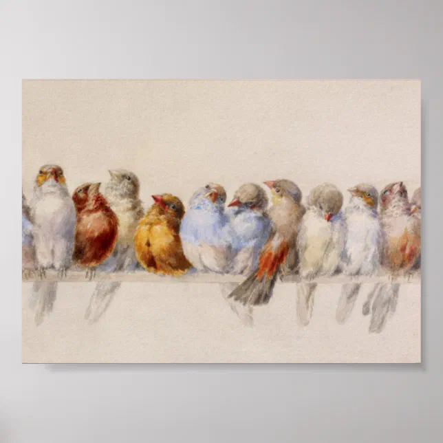 A Perch of Birds Hector Giacomelli 1880 Poster | Zazzle