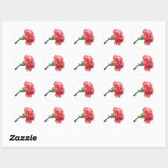 A Pink Carnation sticker | Zazzle